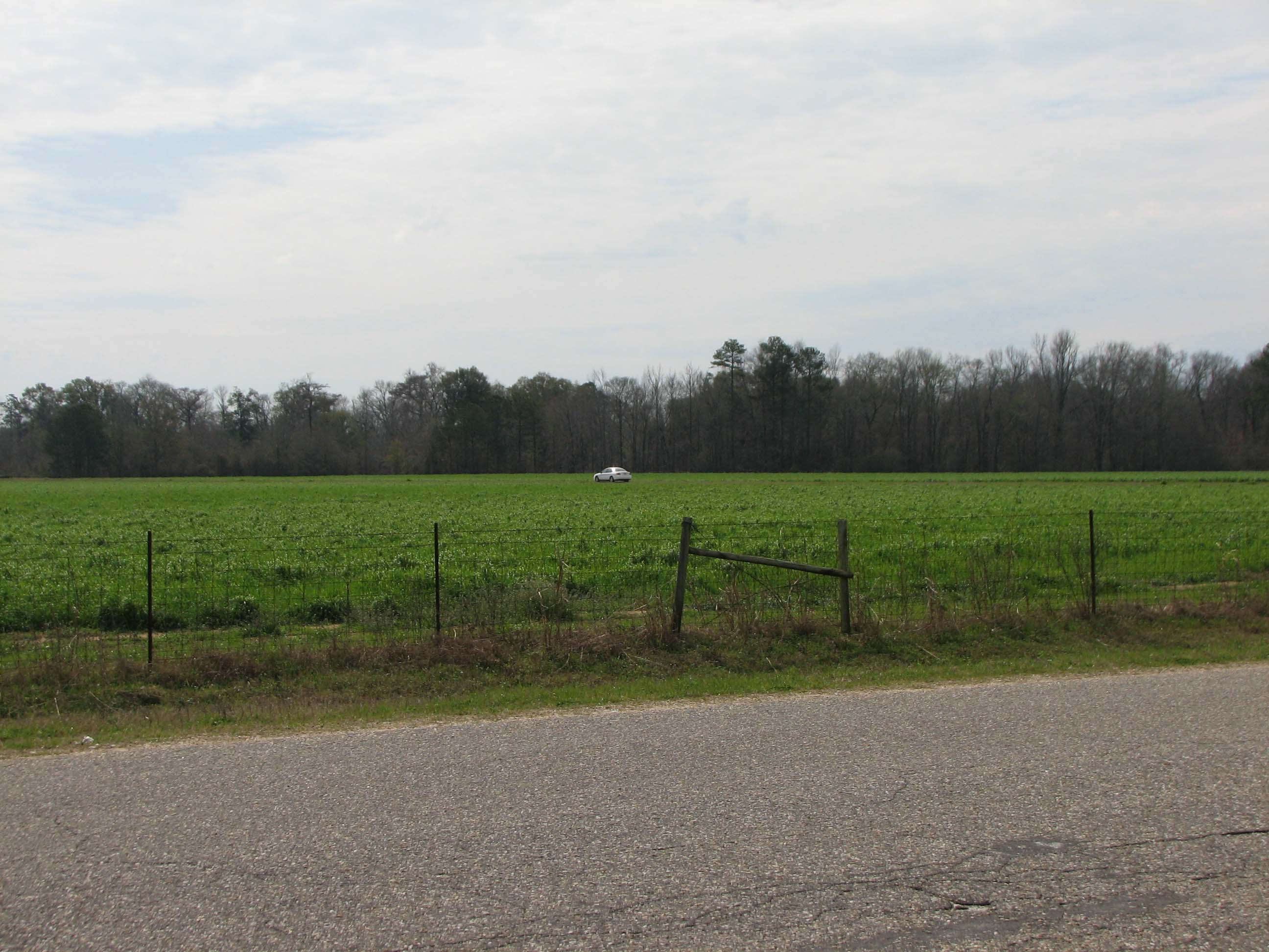 Locations Hub - Auburn University-Wheat Fields