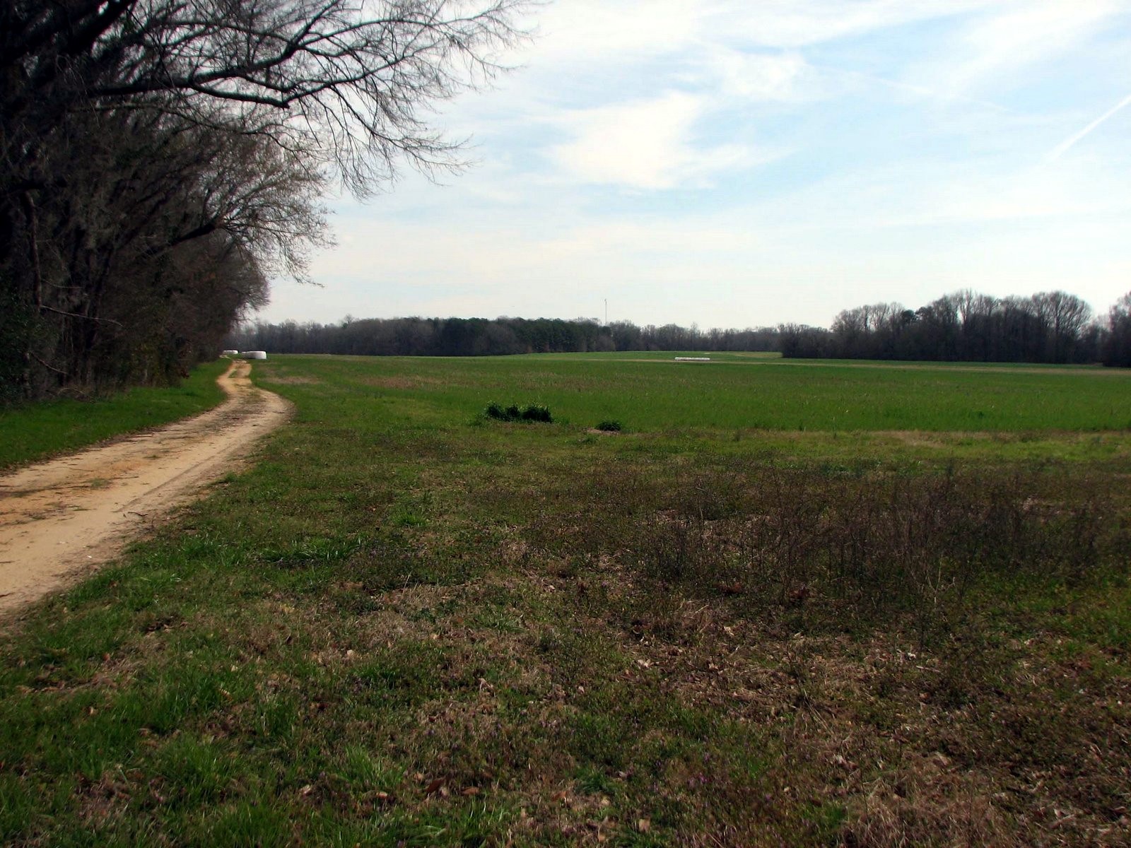 Locations Hub - Auburn University-Wheat Fields