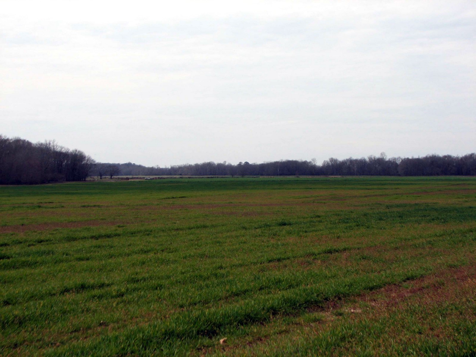 Locations Hub - Auburn University-Wheat Fields