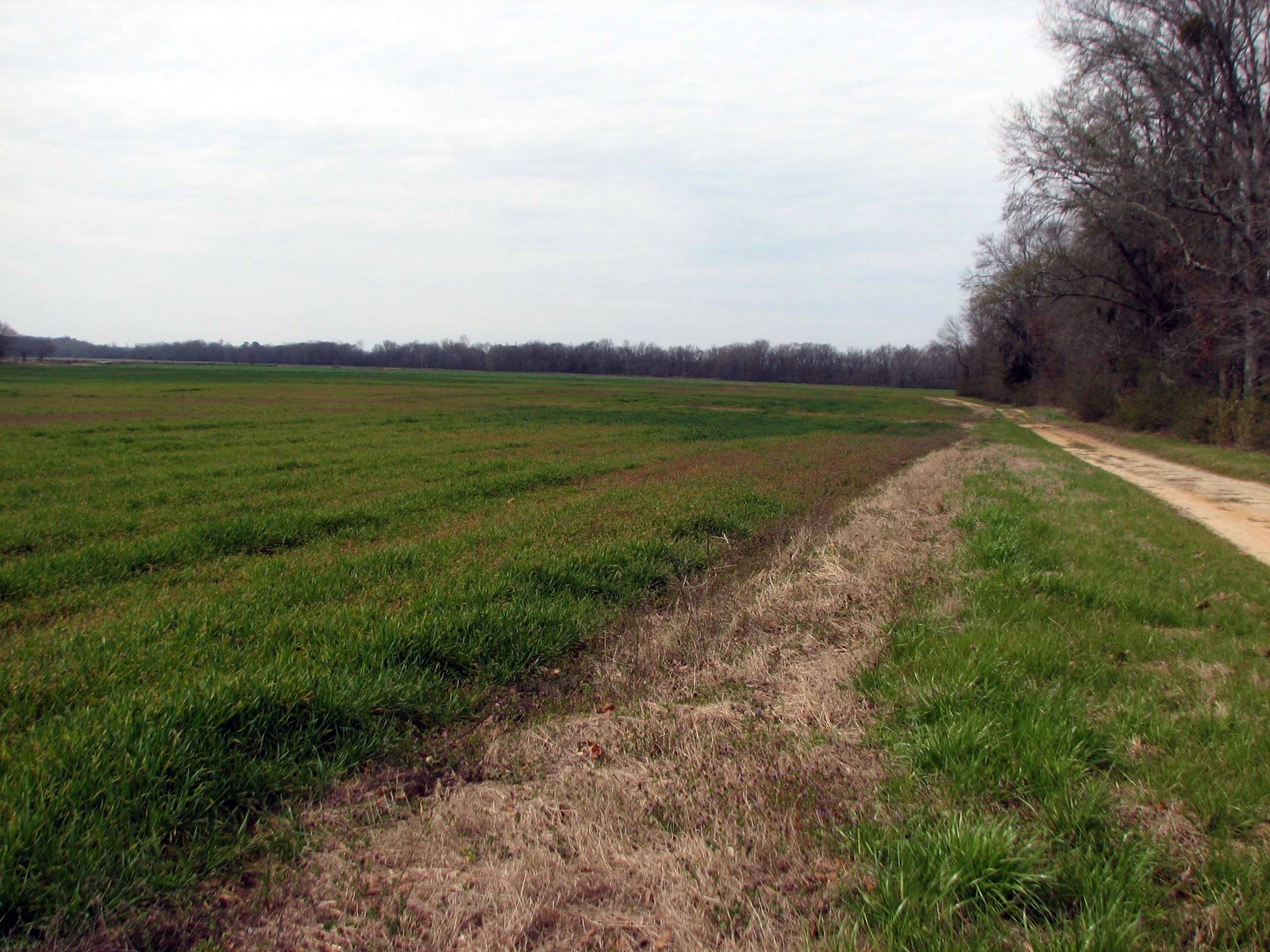 Locations Hub - Auburn University-Wheat Fields