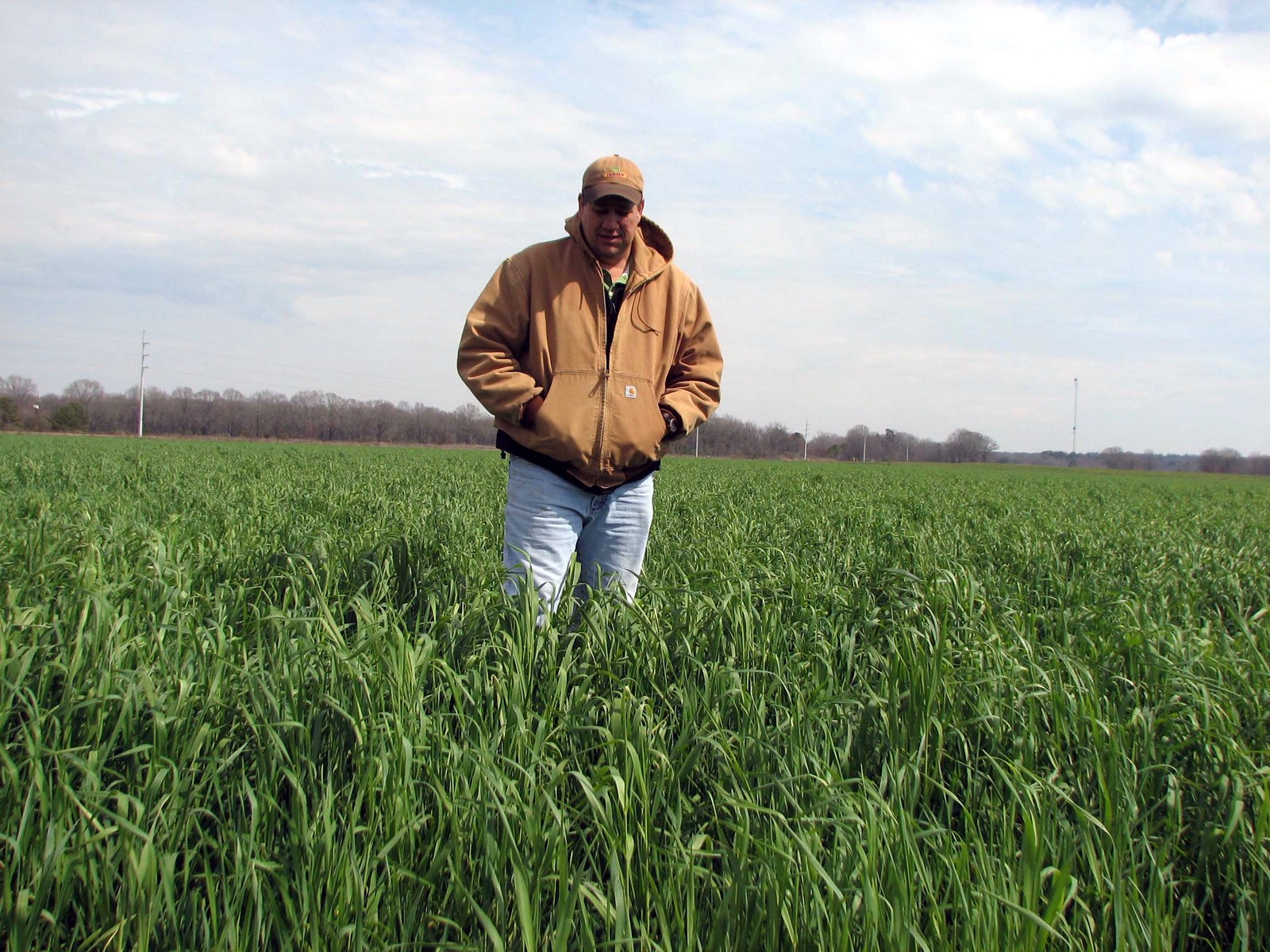 Locations Hub - Auburn University-Wheat Fields